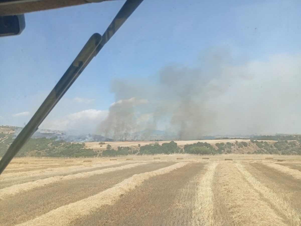 Φωτιά σε δασική έκταση στο Μελενικιτσι (φωτό)