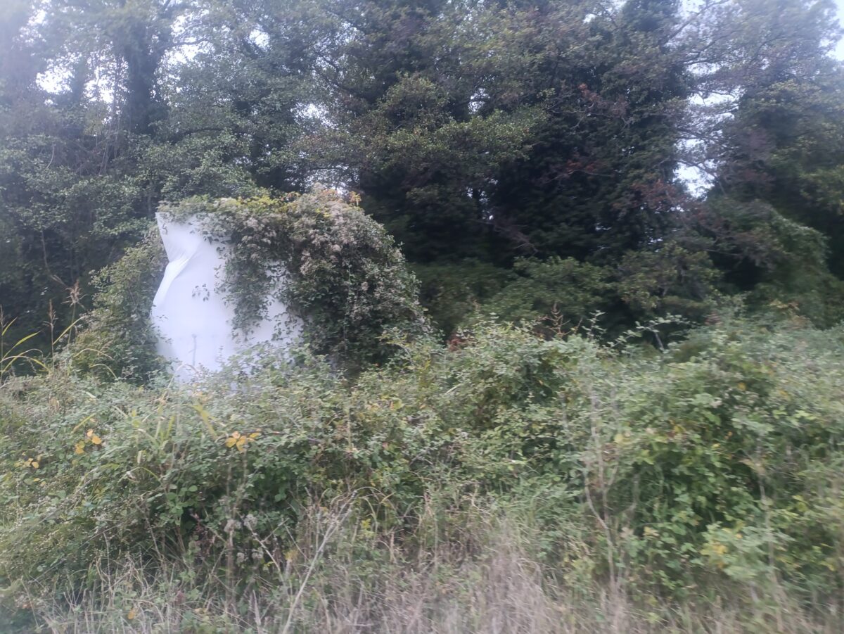 ΕΡΕΥΝΑ: Πινακίδες της ντροπής (Εικόνες)